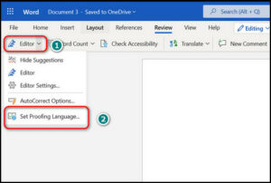 How to Change Language in Microsoft Word Document [2024]