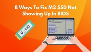 8 Ways To Fix M.2 SSD Not Showing Up in BIOS [Updated 2024]