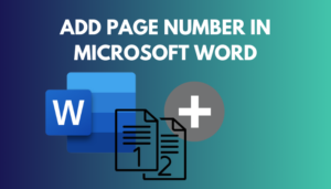 Add Page Number In Microsoft Word: Complete Guide [2024]