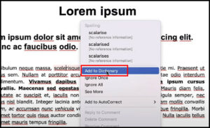 Add Words to Dictionary in Microsoft Word [Build a Wordbook]