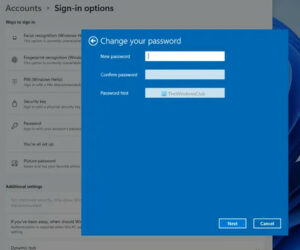 How to Use Password Instead of PIN in Windows 10 [2024]