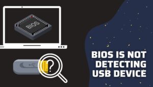 BIOS is Not Detecting USB Device: Reasons and Fix [2024]