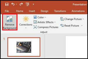 Remove Picture Background in PowerPoint [Full Guide 2024]
