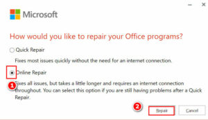 Unable to Zoom In Microsoft Word Document [Quick Fix 2024]