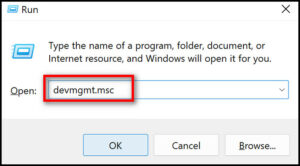 Fingerprint Reader Not Working on Windows 11 [Top 5 Fixes]