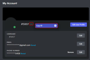 How To Find Discord User ID In Less Than 2 Minutes [2024]