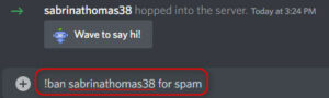 Ultimate Discord Commands List [Useful List Updated 2024]