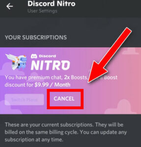 Will Discord Nitro Auto Renew Itself? Final Answer [2024]