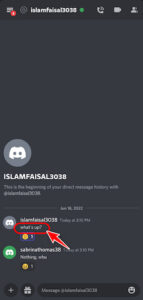 How to React on Discord [Add Emojis & Reactions on Server]