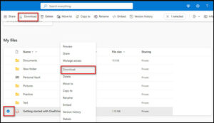 How to Use OneDrive on Mac [Everything You Need to Know]