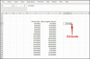 How to Autofill Dates in MS Excel [Quick & Easy Ways 2024]