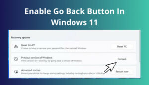 Enable Go Back Button in Windows 11 [3 Quick Methods 2024]
