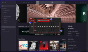 How to Increase Bass on Spotify PC [Complete Guide 2024]