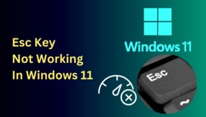 Esc Key Not Working in Windows 11 [Complete Fixes 2024]