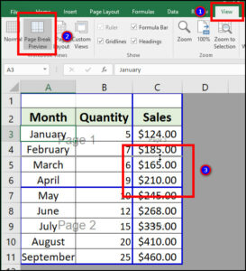 How to Remove Page Break in Excel [Step-by-Step Guide 2024]