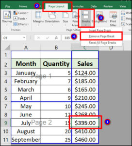 How to Remove Page Break in Excel [Step-by-Step Guide 2024]