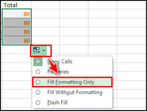 5 Ways to Copy Format in Excel [Complate Guide 2024]