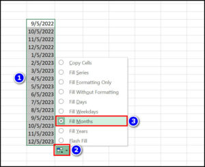 How to Autofill Dates in MS Excel [Quick & Easy Ways 2024]