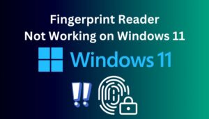 Fingerprint Reader Not Working on Windows 11 [Top 5 Fixes]