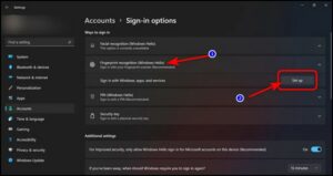 How to Setup Windows Hello Fingerprint in Windows 11?