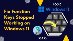Fix Function Keys Stopped Working on Windows 11 [Proven Fix]