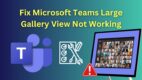 Fix Microsoft Teams Large Gallery View Not Working [2024]