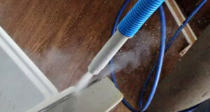 How to Get Roaches Out of Computer [6 Simple Steps 2024]