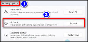 Enable Go Back Button in Windows 11 [3 Quick Methods 2024]