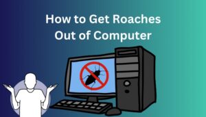 How to Get Roaches Out of Computer [6 Simple Steps 2024]