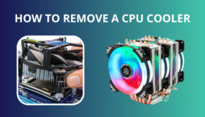 How to Remove a CPU Cooler [3 Simple Steps to Take Off 2024]