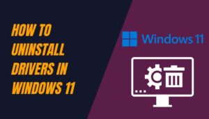 How To Uninstall Drivers In Windows 11 [2 Easy Methods]