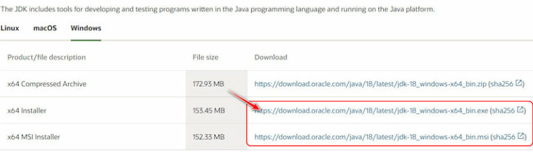 Is Java Necessary in Windows 11 [TRUTH REVEALED 2024]