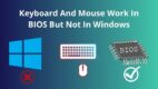 [Solved] Keyboard and Mouse Work in BIOS But Not in Windows