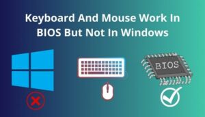 [Solved] Keyboard and Mouse Work in BIOS But Not in Windows