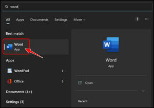 3 Ways to Turn Spell Check On/Off in Microsoft Word [2024]