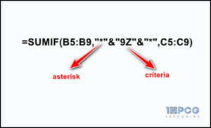 Excel SUMIF with Partial Text Match [Beginners Guide]