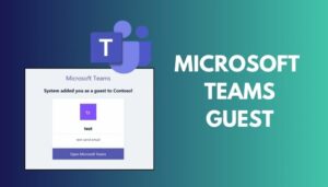 Microsoft Teams Guest [Use Guest Access & Know Its Limits]