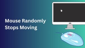 Mouse Randomly Stops Moving [Causes & Fixes 2024]