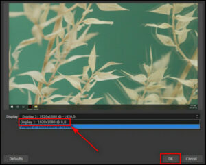 How to See Multiple Screens on Microsoft Teams [Guide 2024]