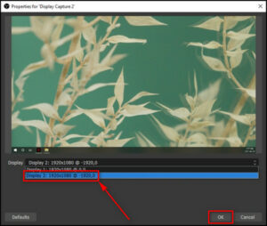 How to See Multiple Screens on Microsoft Teams [Guide 2024]