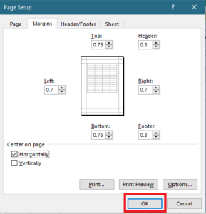 How to Center Worksheet Horizontally in Excel [3 Easy Ways]
