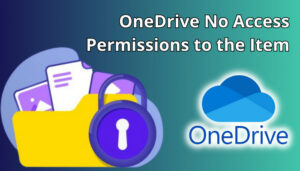 OneDrive No Access Permissions to the Item [Fix Access Error]
