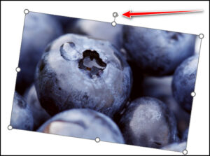 How to Mirror an Image in Microsoft Word [Quick Guide]