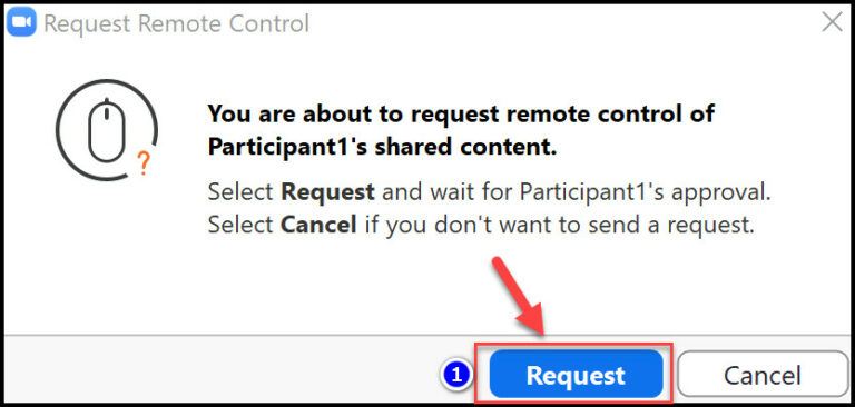 Request Or Allow Remote Control on Zoom [Quick Guide 2024]