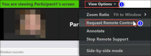 Request Or Allow Remote Control on Zoom [Quick Guide 2024]