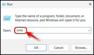 NVIDIA Graphics Card Not Detected in Windows 11 [2024 Fixes]