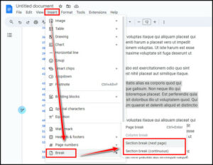 How to Add & Remove Line Numbers in Google Docs [2024]