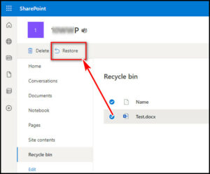 Recycle Bin in SharePoint [Retain or Erase Deleted Items]