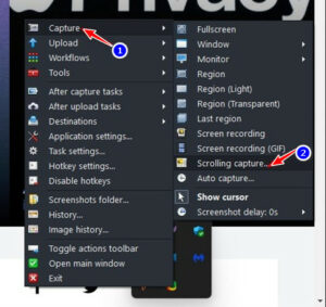 3 Easy Ways to Take Scrolling Screenshots in Windows 11