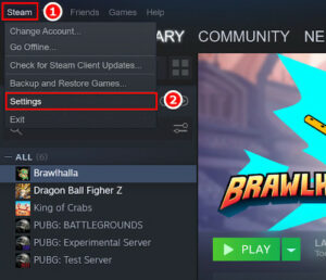 How to Take Screenshot on Steam [Custom Hotkeys in 2024]